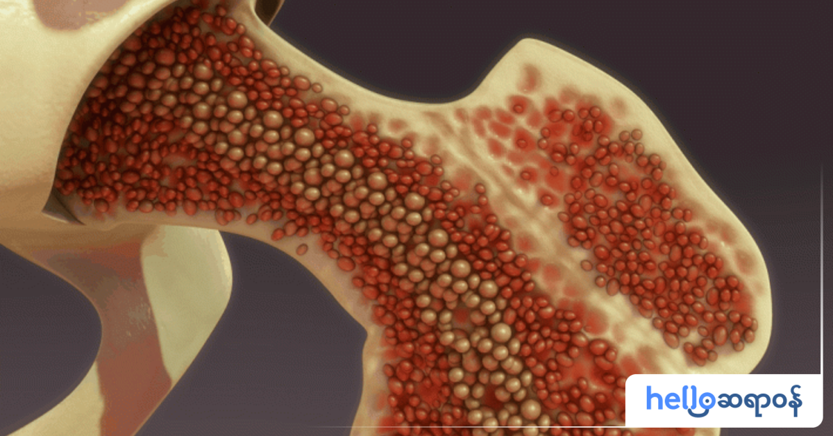 ရိုးတွင်းခြင်ဆီရဲ့ လုပ်ငန်းတာဝန်တွေက ဘာတွေများလဲ ။ ။ - Hello Sayarwon